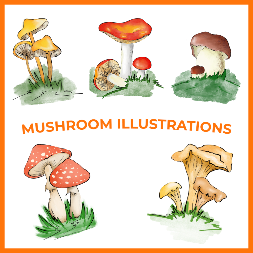 Mushroom Watercolor Clipart Set – MasterBundles