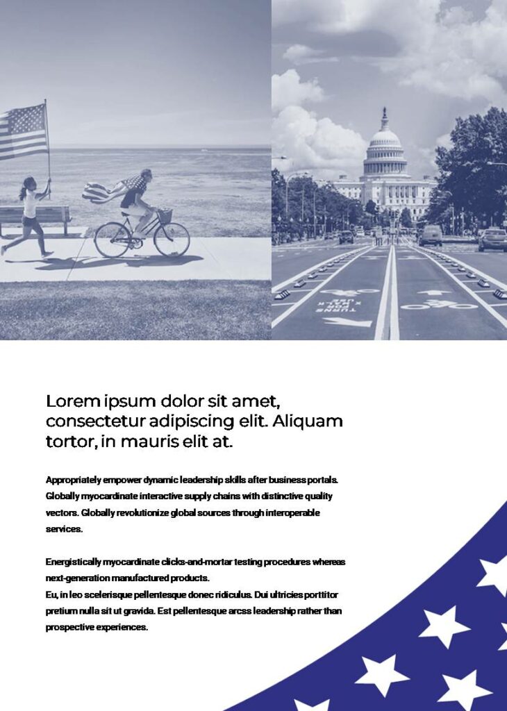 Veterans Day Google Slides Theme – MasterBundles