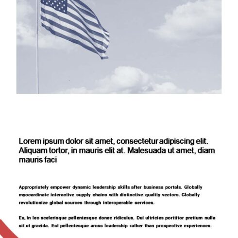 Veterans Day Presentation Template: 50 slides PPTX, KEY, Google Slides ...