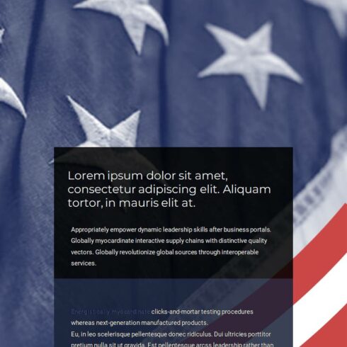 Veterans Day Google Slides Theme – MasterBundles