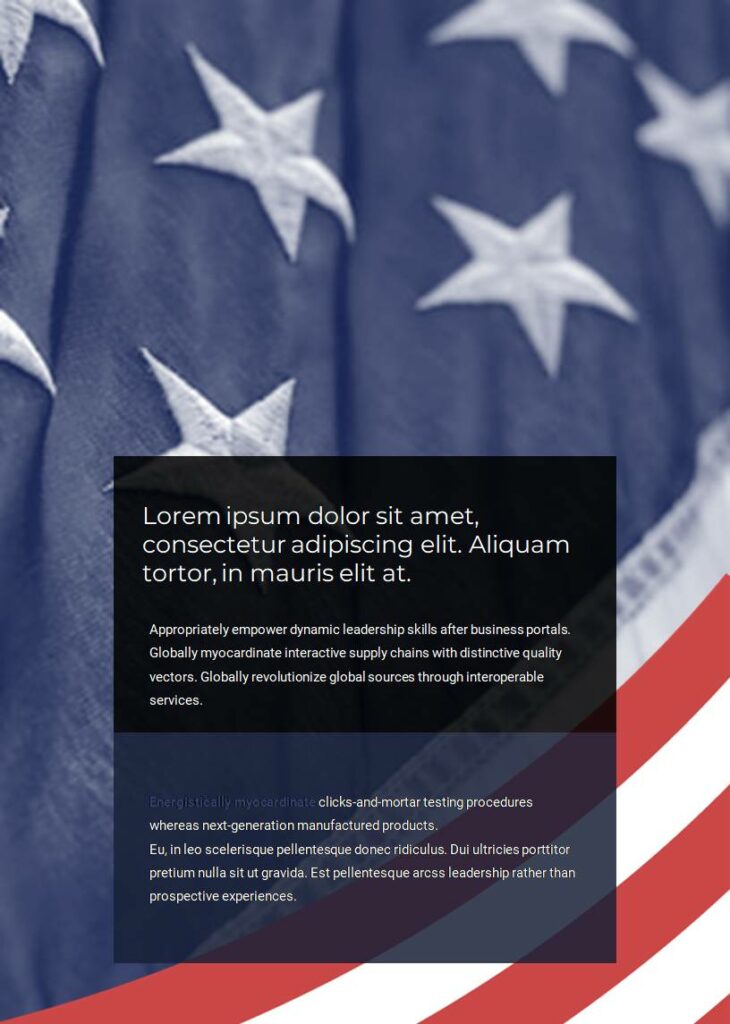 Veterans Day Google Slides Theme – MasterBundles