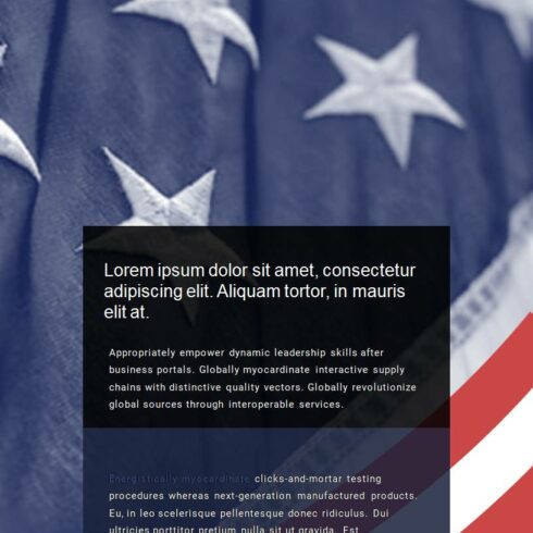 Veterans Day Presentation Template: 50 slides PPTX, KEY, Google Slides ...