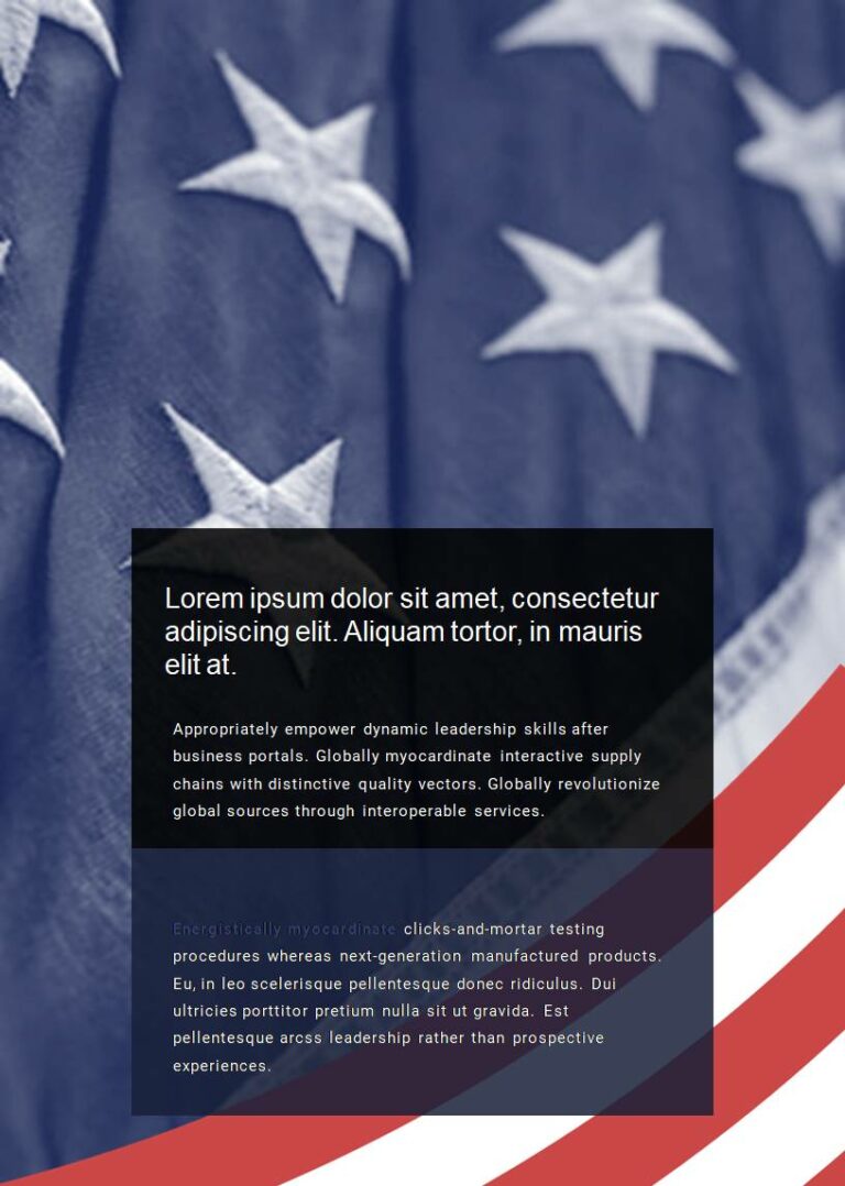Veterans Day PowerPoint Template – MasterBundles