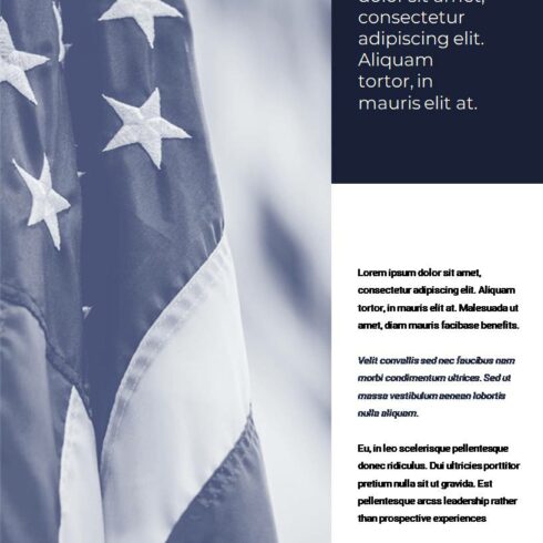 Veterans Day Google Slides Theme – MasterBundles