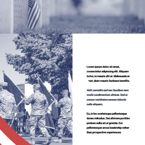 Veterans Day Google Slides Theme – MasterBundles