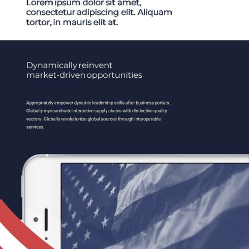 Veterans Day Google Slides Theme – MasterBundles