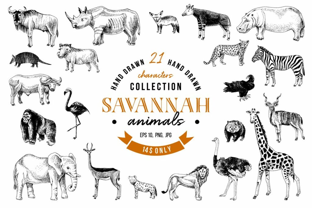 Hand Drawn Savannah Animals – MasterBundles