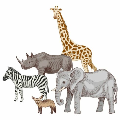 Hand Drawn Savannah Animals – MasterBundles