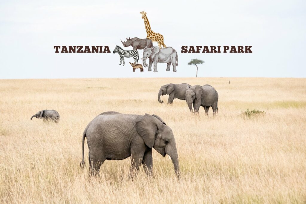 Hand Drawn Savannah Animals – MasterBundles