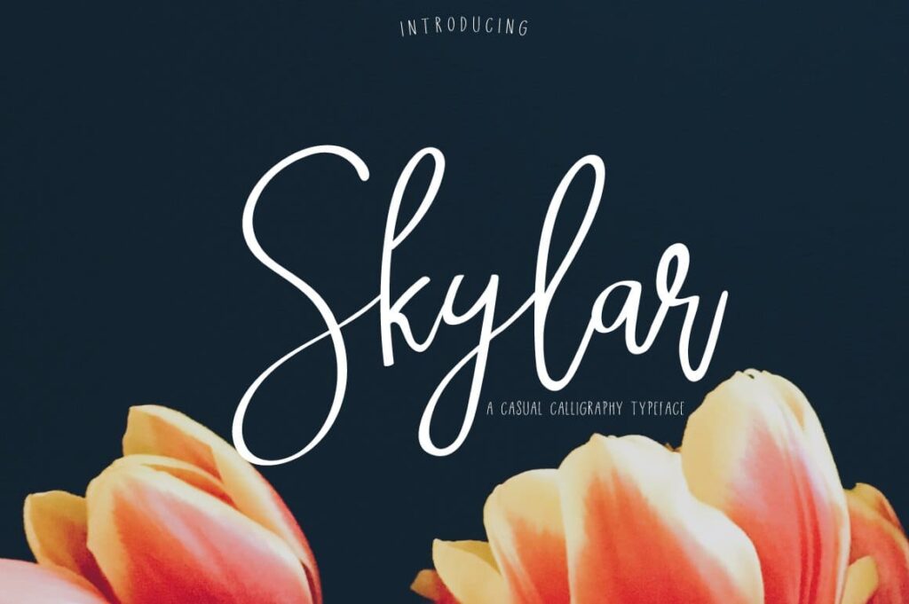 Skylar Script Font – MasterBundles