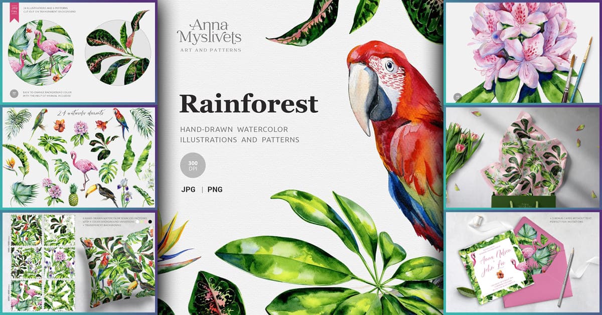 Rainforest Illustrations – MasterBundles