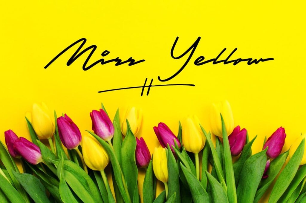 Specialist Handwritten Font – MasterBundles