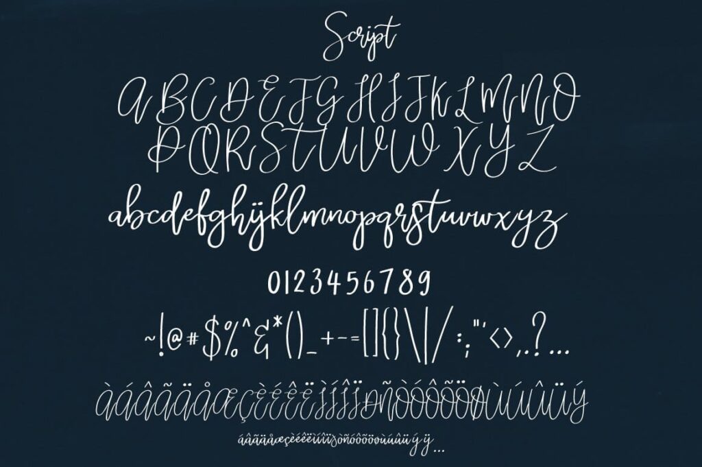 Skylar Script Font – MasterBundles