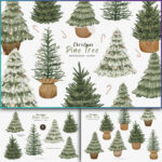 Watercolor Christmas Pine Tree Clipart – MasterBundles