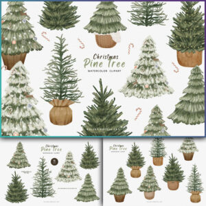 Watercolor Christmas Pine Tree Clipart – MasterBundles