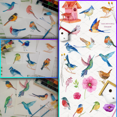 Collection Of Watercolor Birds – MasterBundles