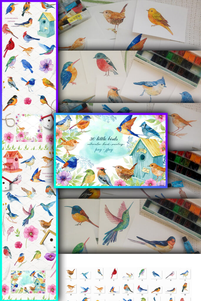 Collection Of Watercolor Birds – MasterBundles