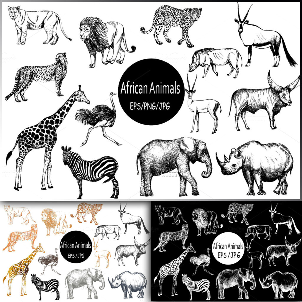 African Animals – MasterBundles