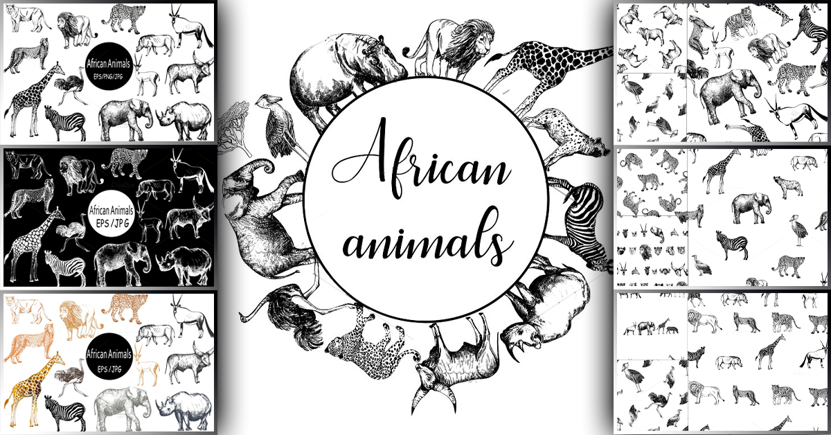African Animals – MasterBundles