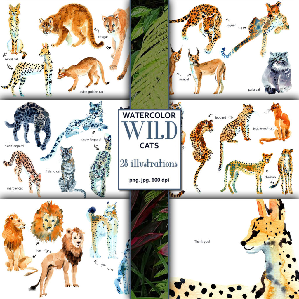 Watercolor WILD Cats – MasterBundles