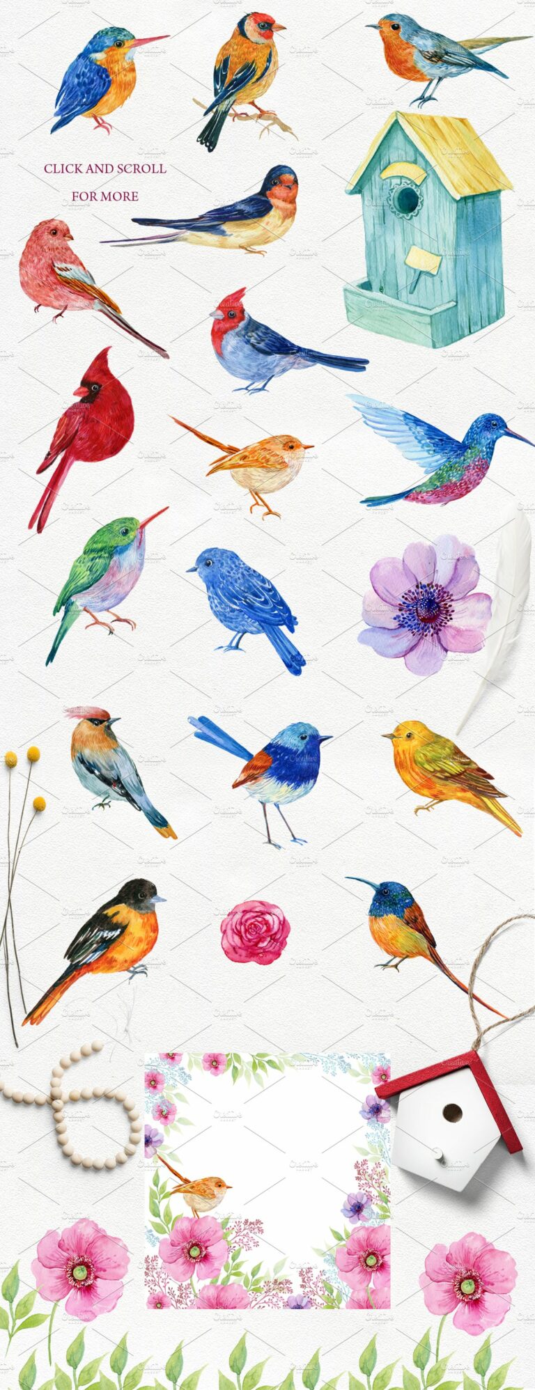 Collection Of Watercolor Birds – MasterBundles