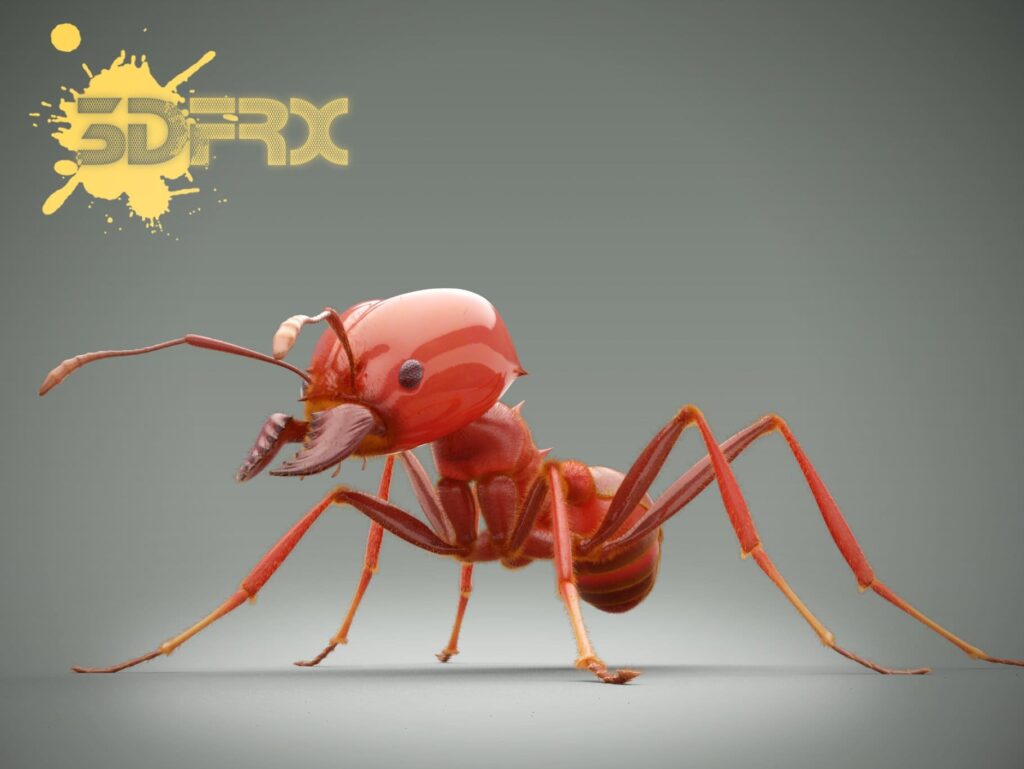 Ant 3D – MasterBundles