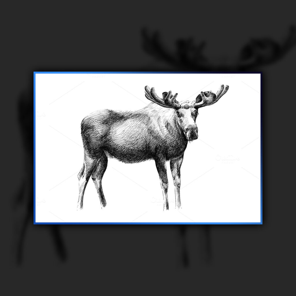 Hand Drawn Moose, Sketch Graphics MO – MasterBundles