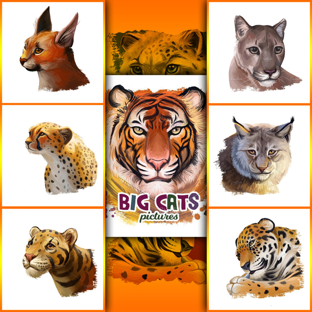 Cute Wild Cats Watercolor Clipart | Master Bundles