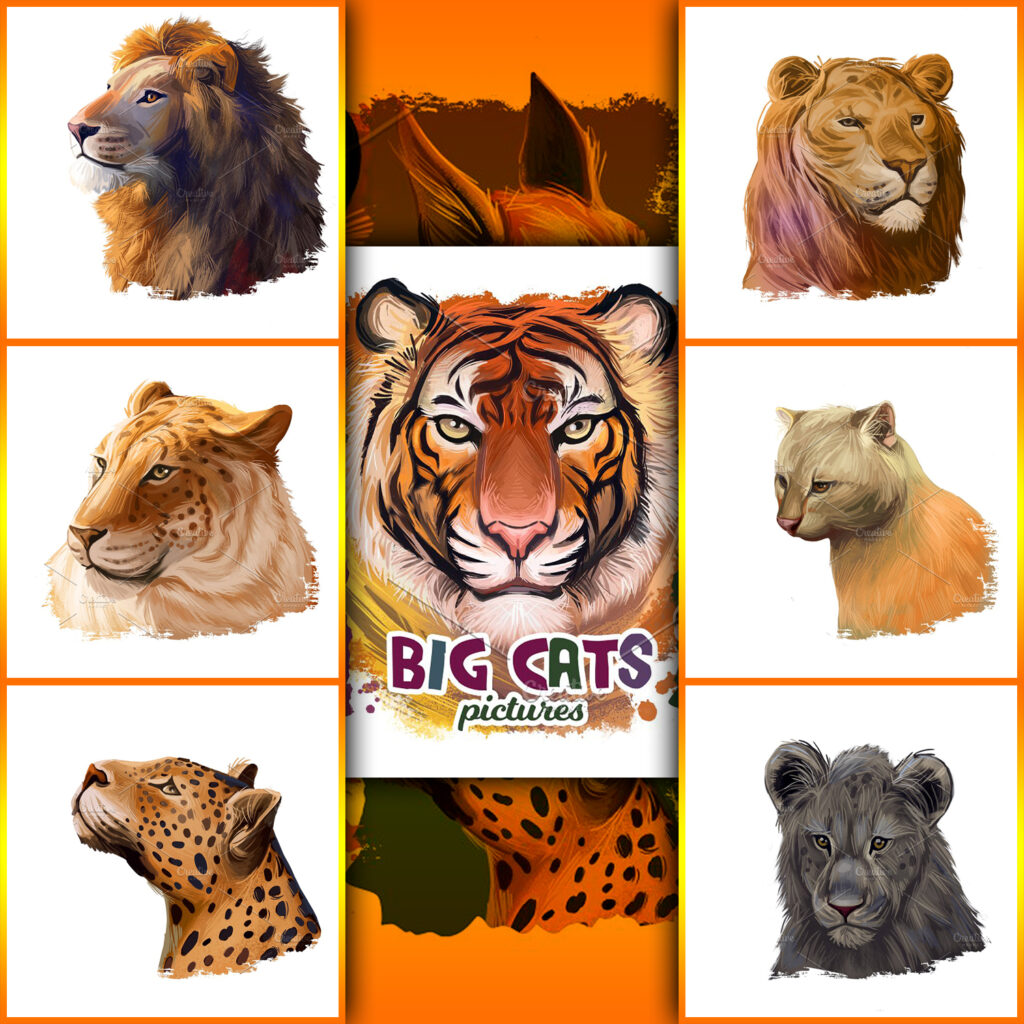 Big Cats 15 Adult Wild Animals – MasterBundles