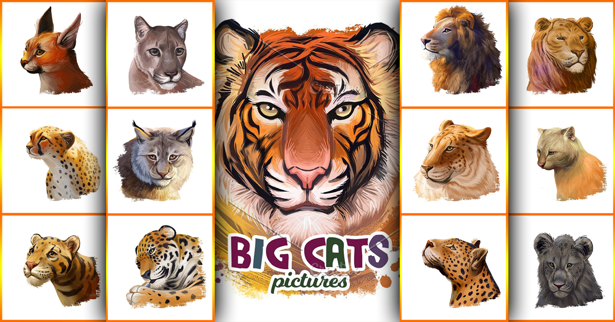 Big Cats 15 Adult Wild Animals – MasterBundles