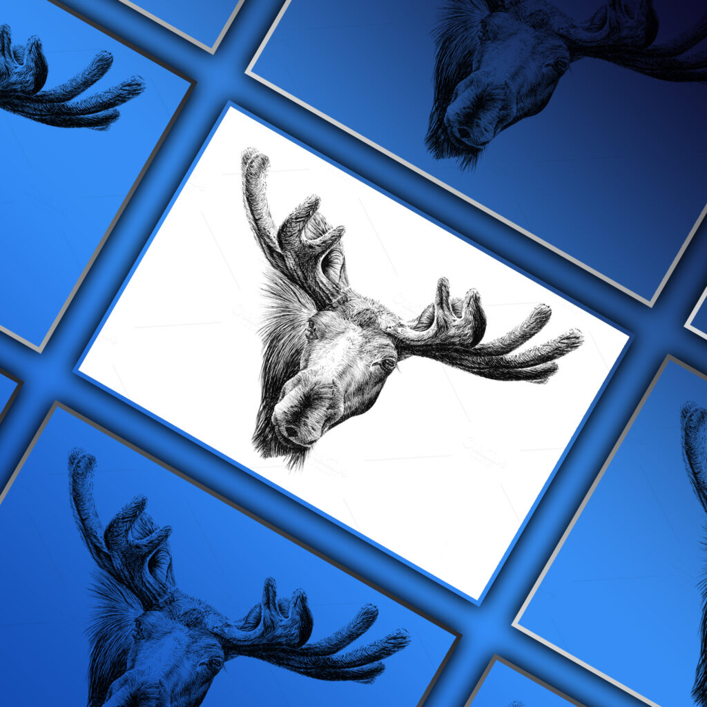 Hand Drawn Moose Portrait, Sketch GR – MasterBundles
