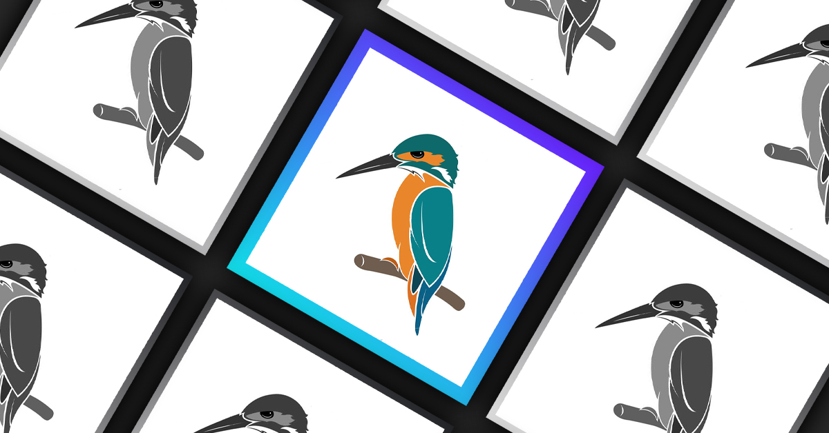 Vector Of Kingfisher Bird Design – MasterBundles