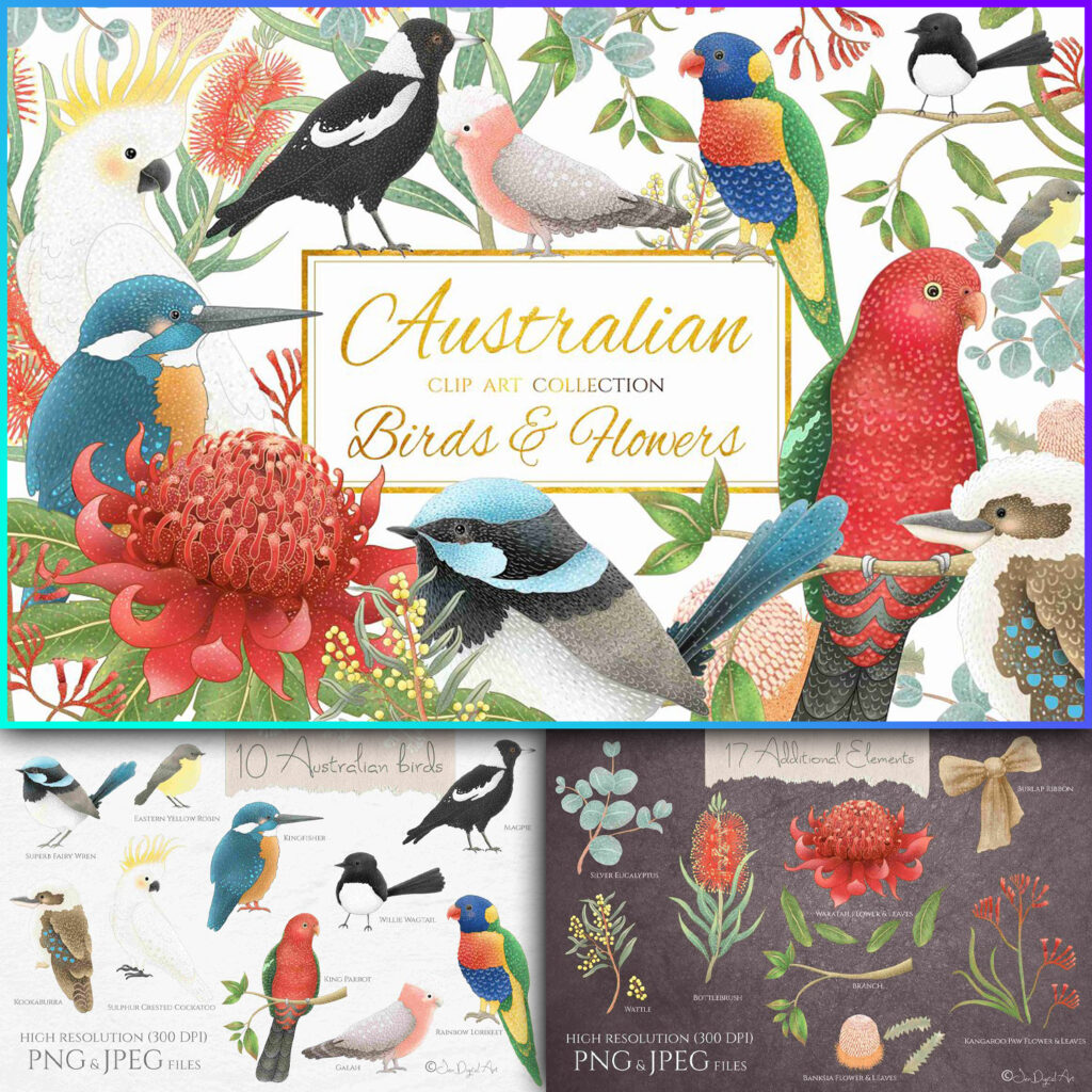 Australian Birds & Flowers – MasterBundles