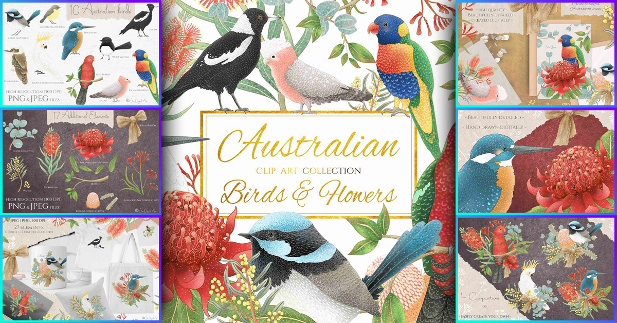 Australian Birds & Flowers – MasterBundles