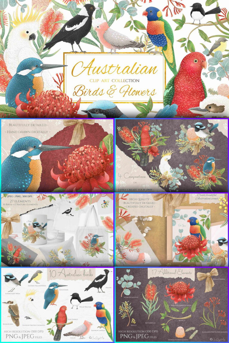 Australian Birds & Flowers – MasterBundles