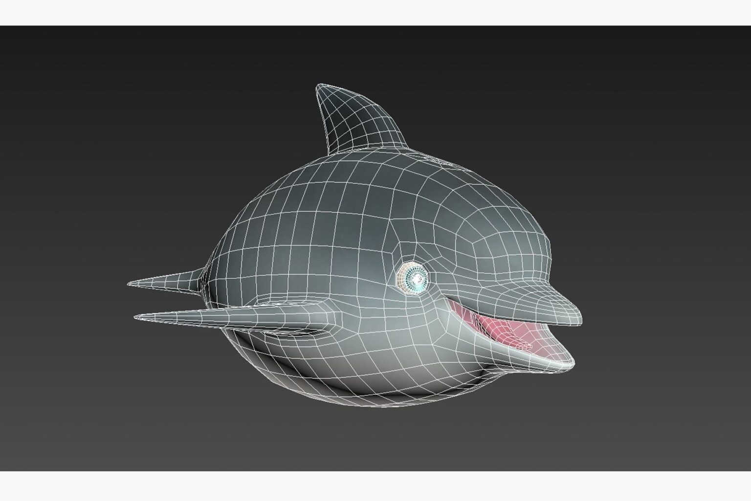 3D Dolphin – MasterBundles