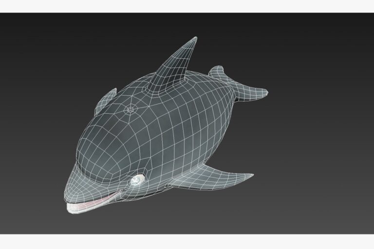 3D Dolphin – MasterBundles
