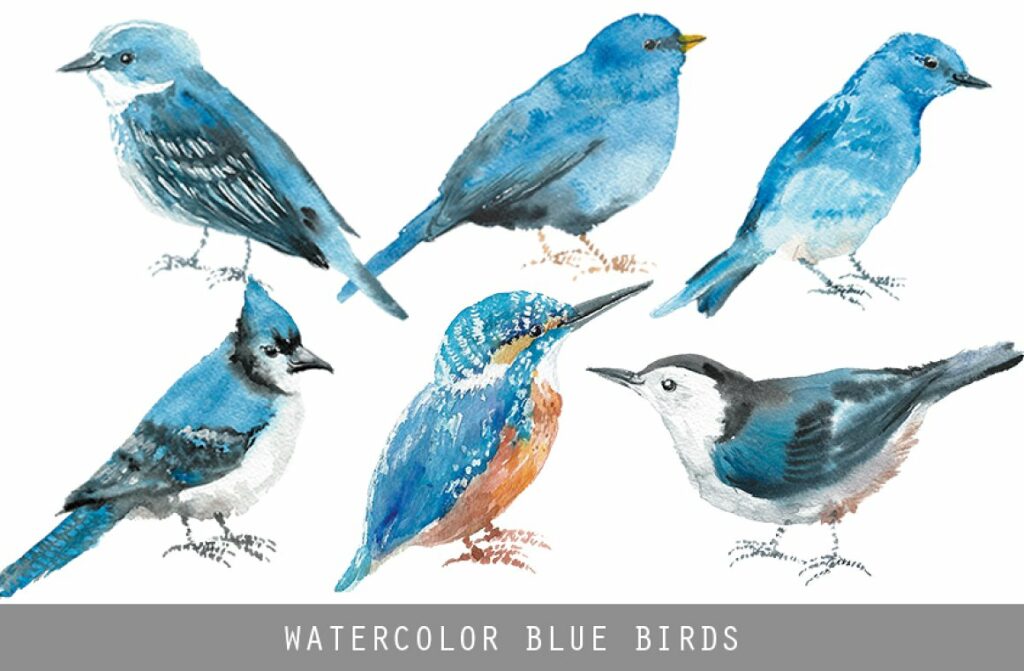Watercolor Blue Birds – MasterBundles