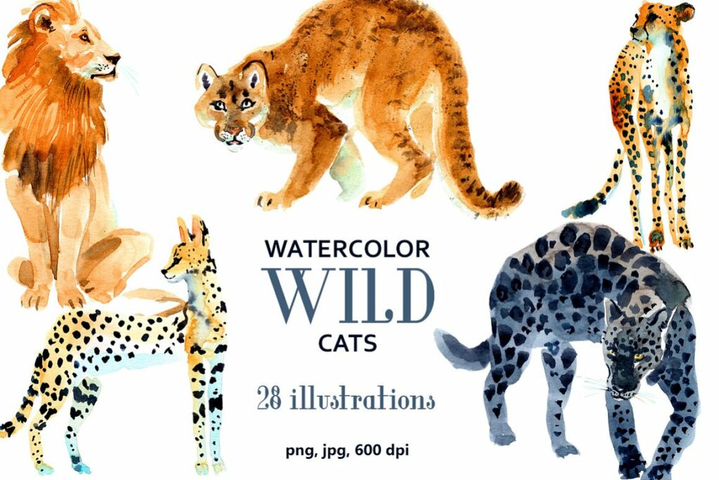 Watercolor WILD Cats | MasterBundles