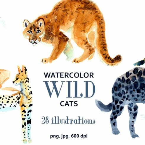 Watercolor WILD Cats | MasterBundles