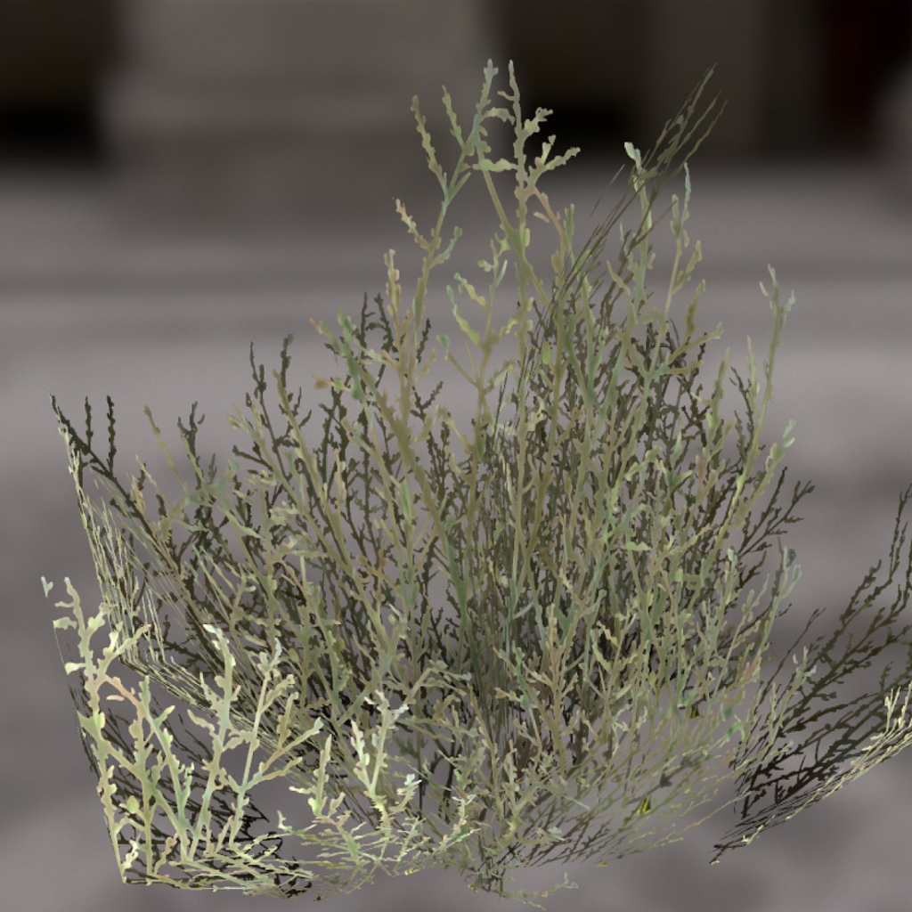 Bush Model – MasterBundles