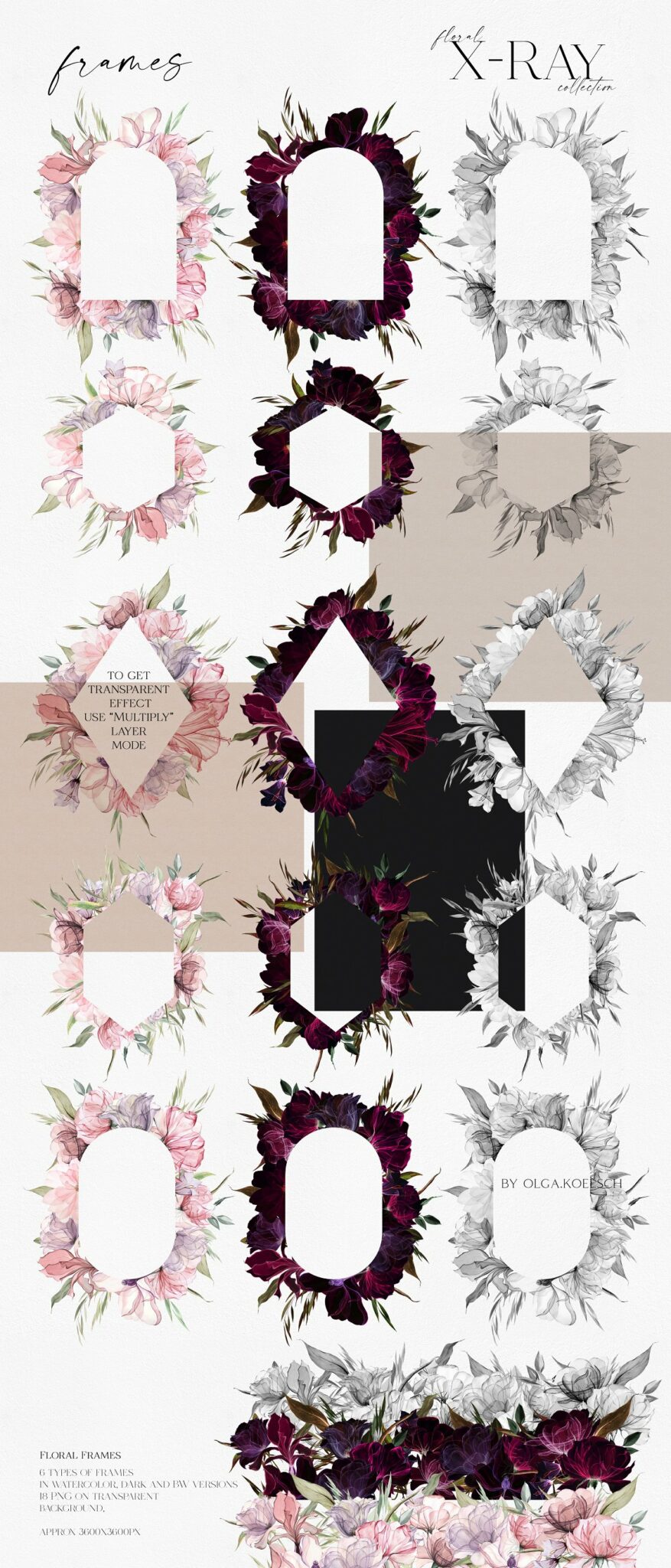 X-Ray Flowers Watercolor – MasterBundles