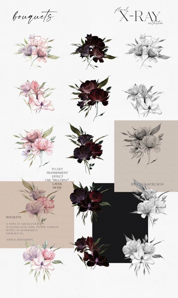 X-Ray Flowers Watercolor – MasterBundles