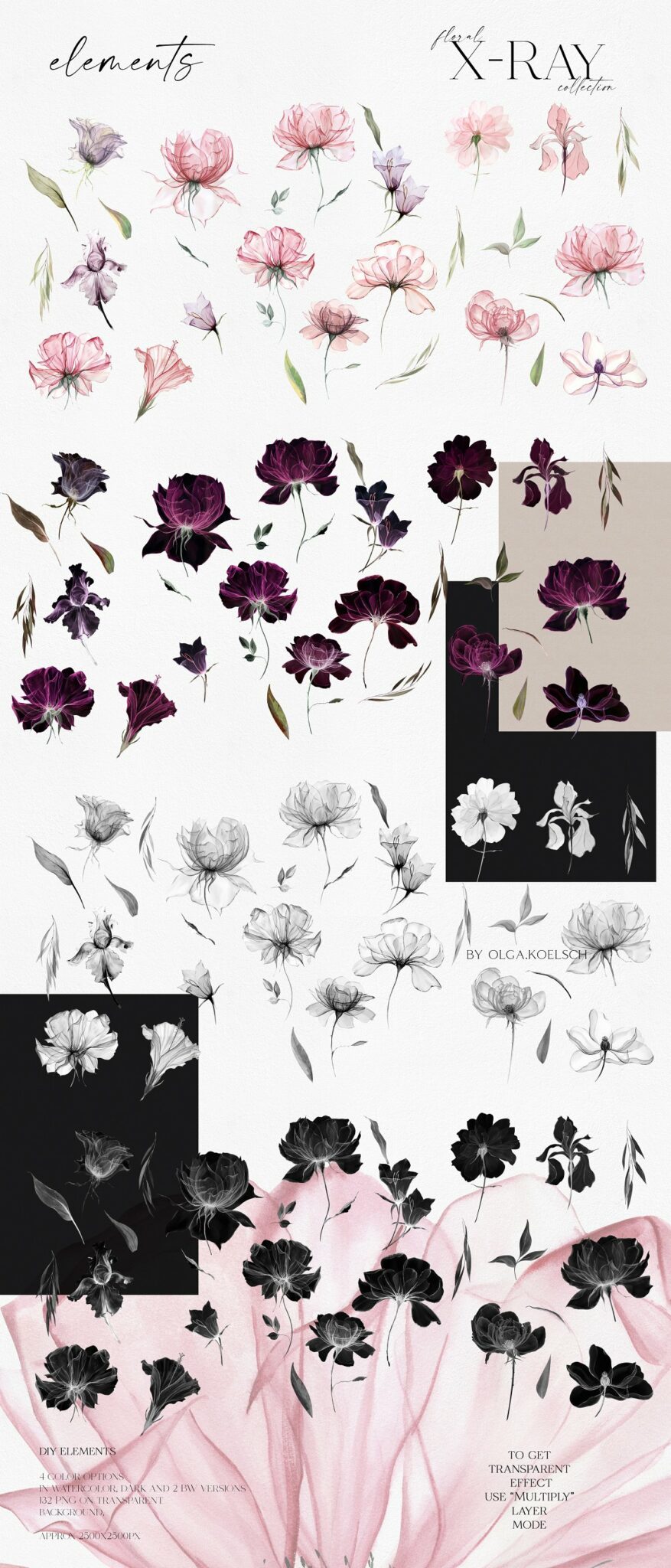 X-Ray Flowers Watercolor – MasterBundles