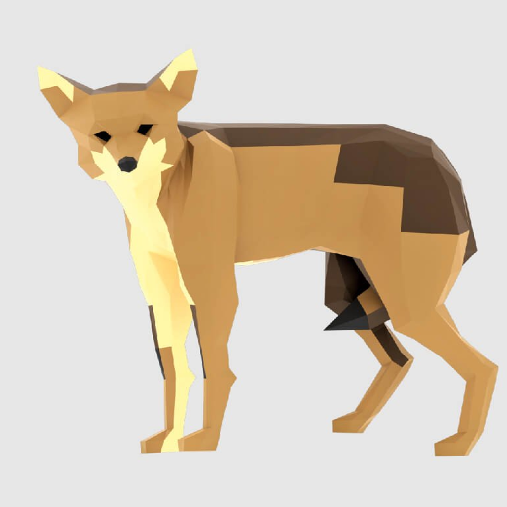 Coyotes 3D Model – MasterBundles