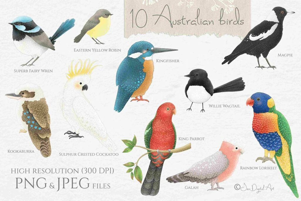 Australian Birds & Flowers – MasterBundles