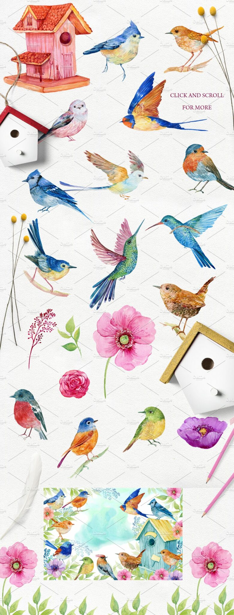 Collection Of Watercolor Birds – MasterBundles