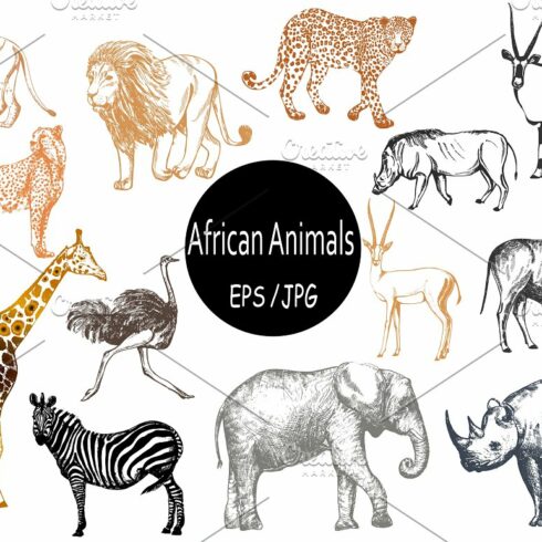 African Animals | MasterBundles