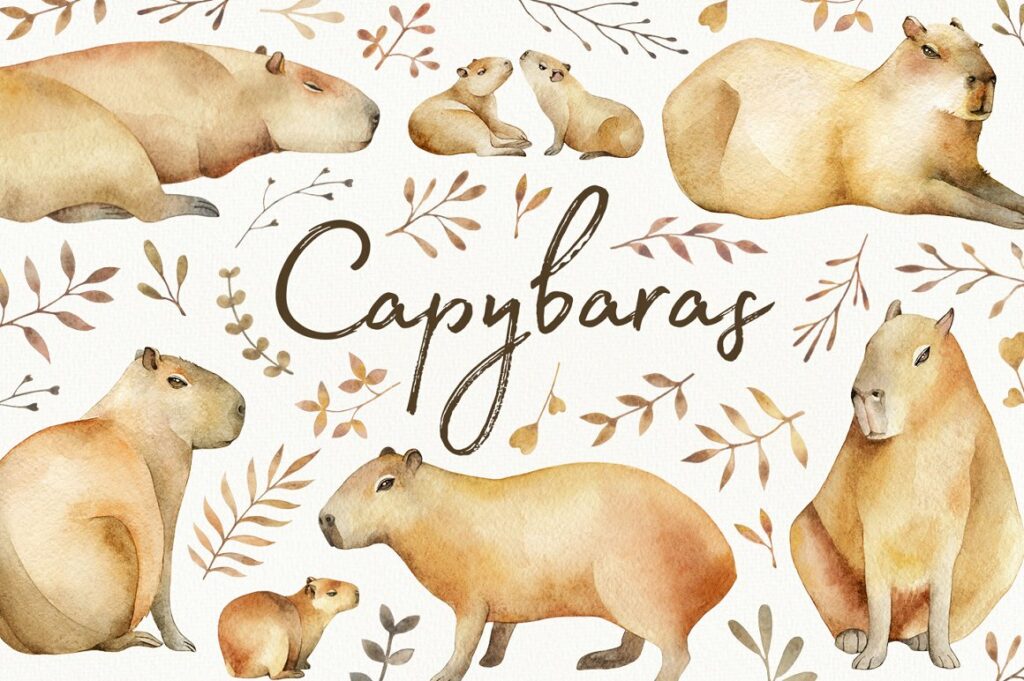 Capybaras Watercolor Set – MasterBundles