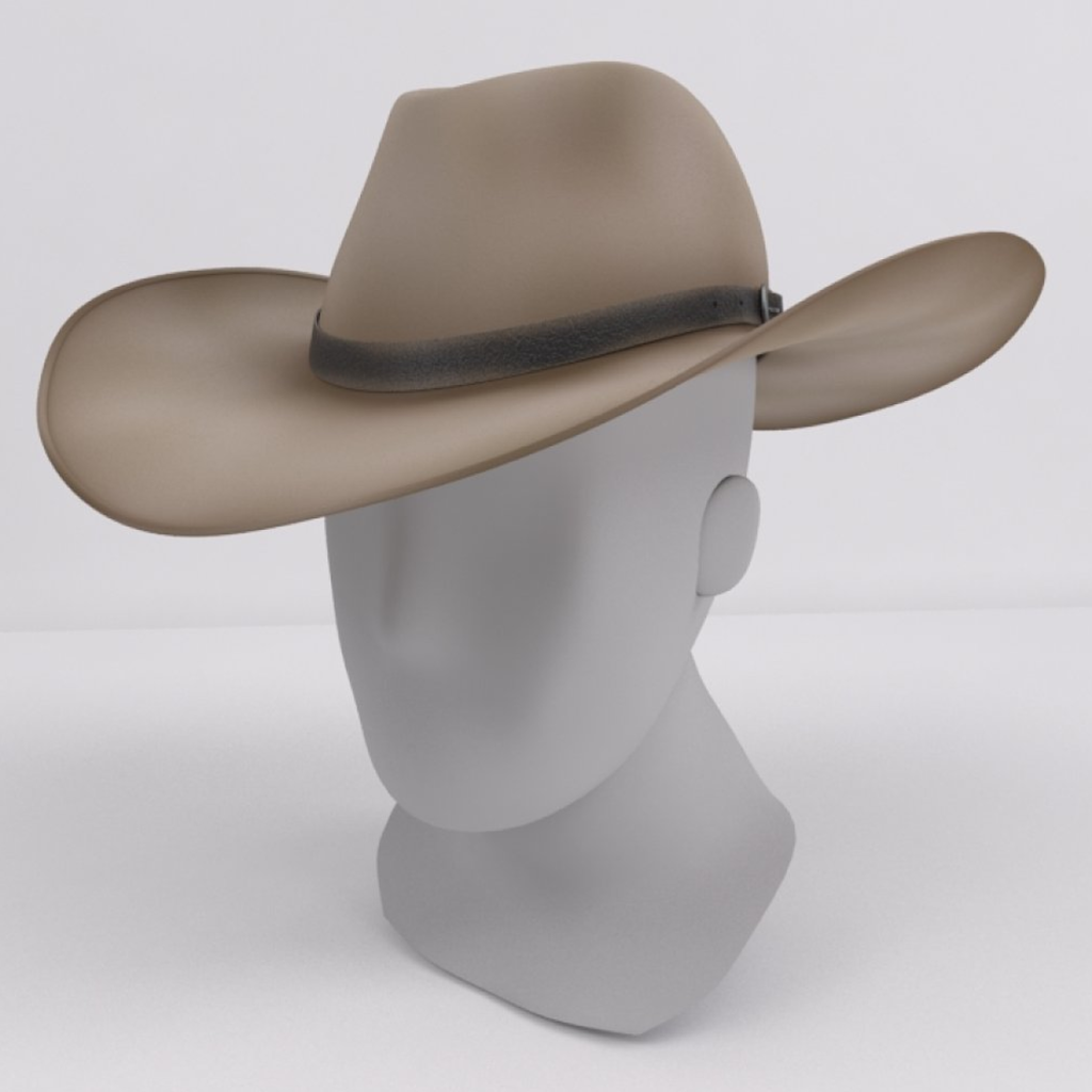 Stetson Cowboy Hat – MasterBundles